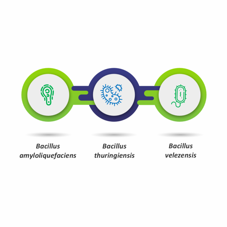 Biomagno - Soluções Biológicas para a Agricultura e Pecuária | BIOTROP