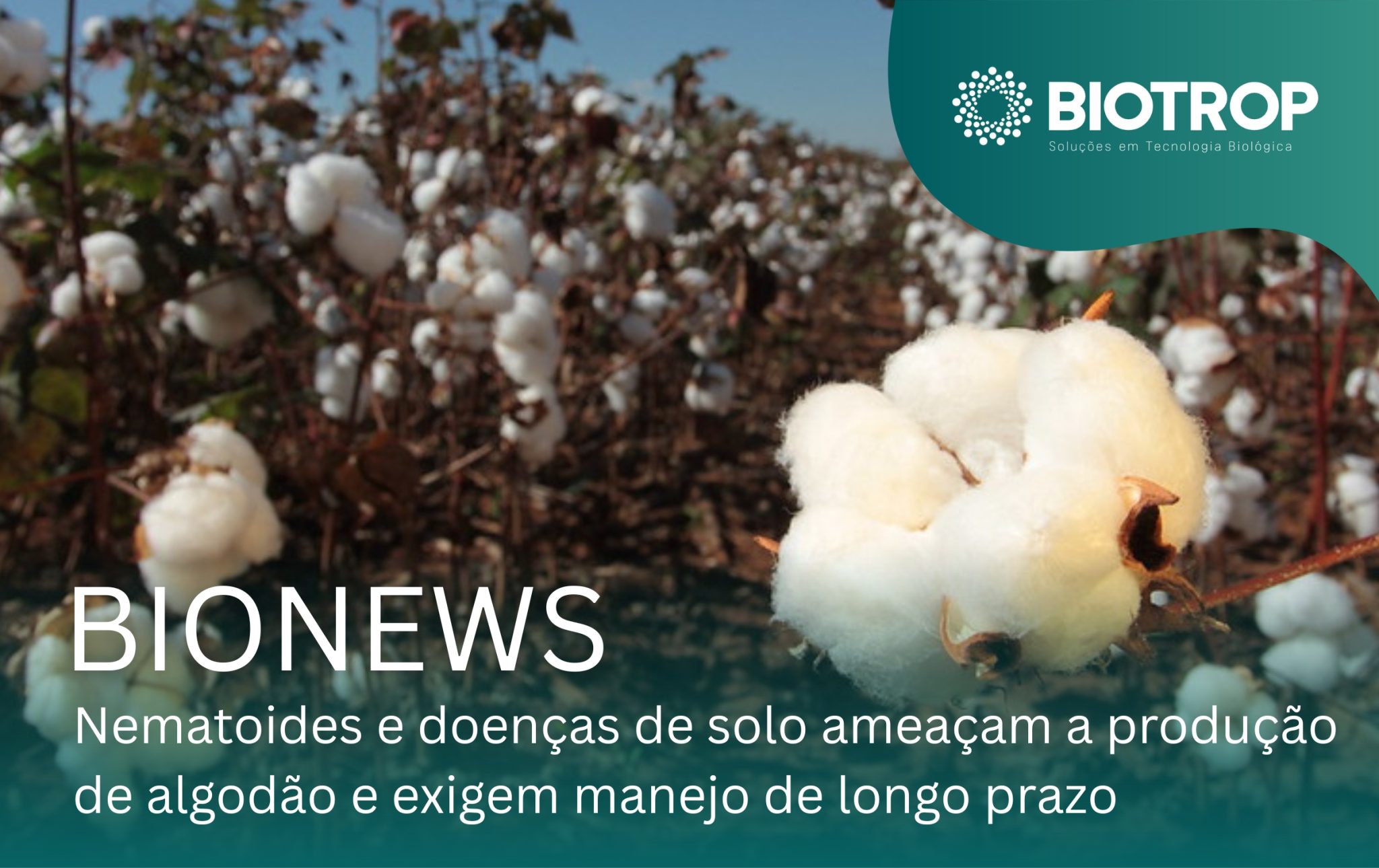 BIOTROP | Soluções Biológicas para a Agricultura e Pecuária